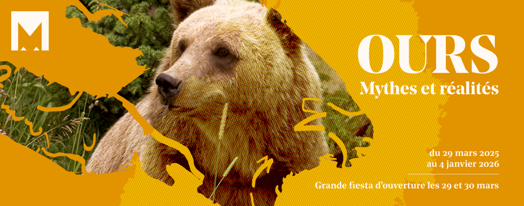 OURS : MYTHES & RÉALITÉS - Musée du Gévaudan